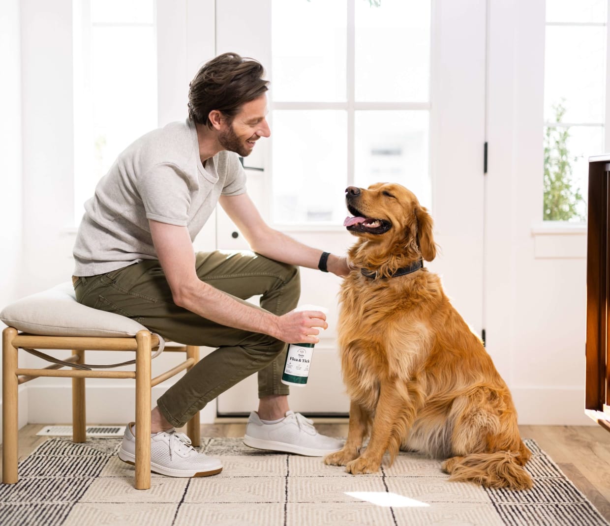 Pestie for Pets Flea and Tick Treatment | Buy Now