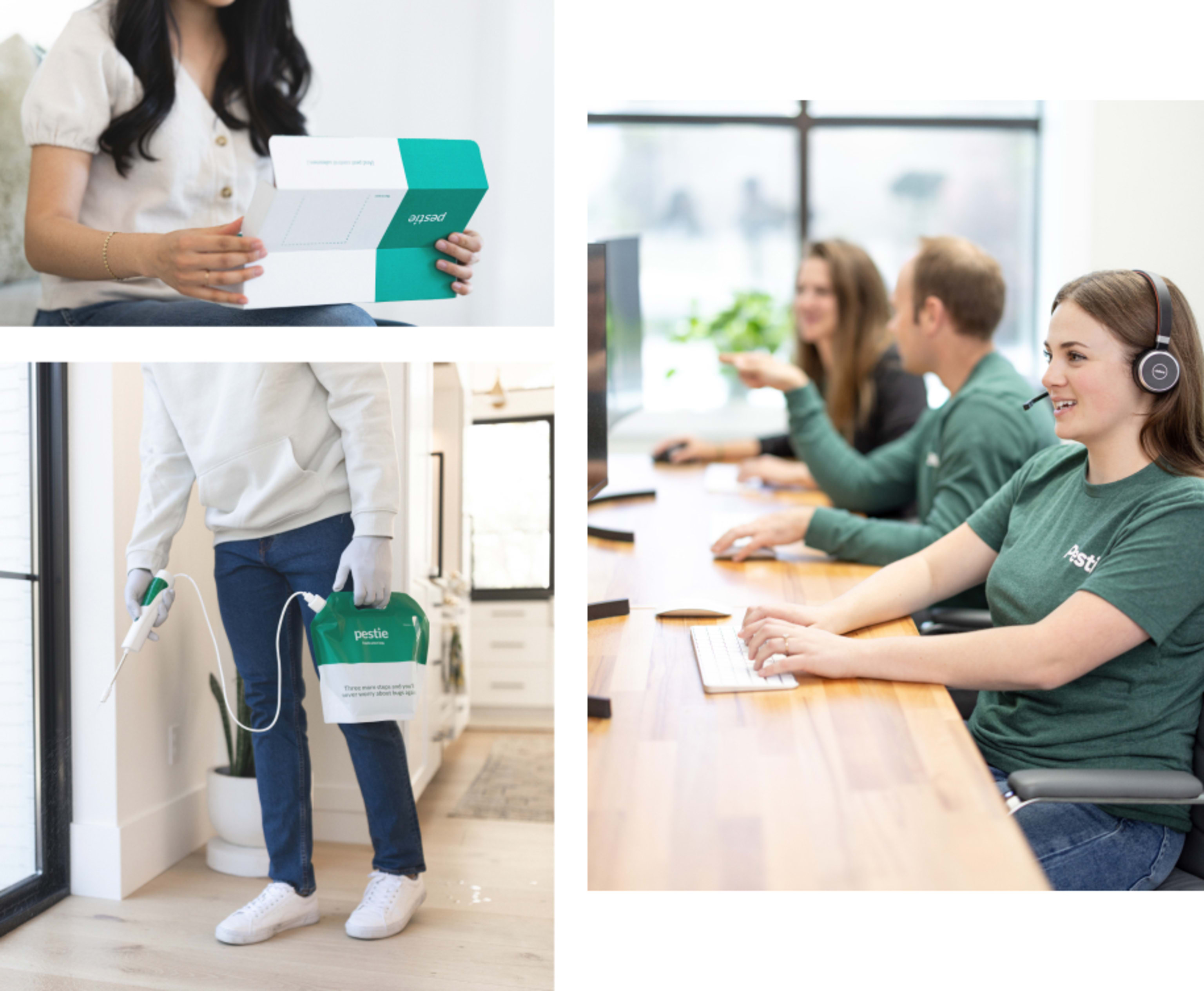 Application Tips & Tricks | How to apply DIY Pest Control