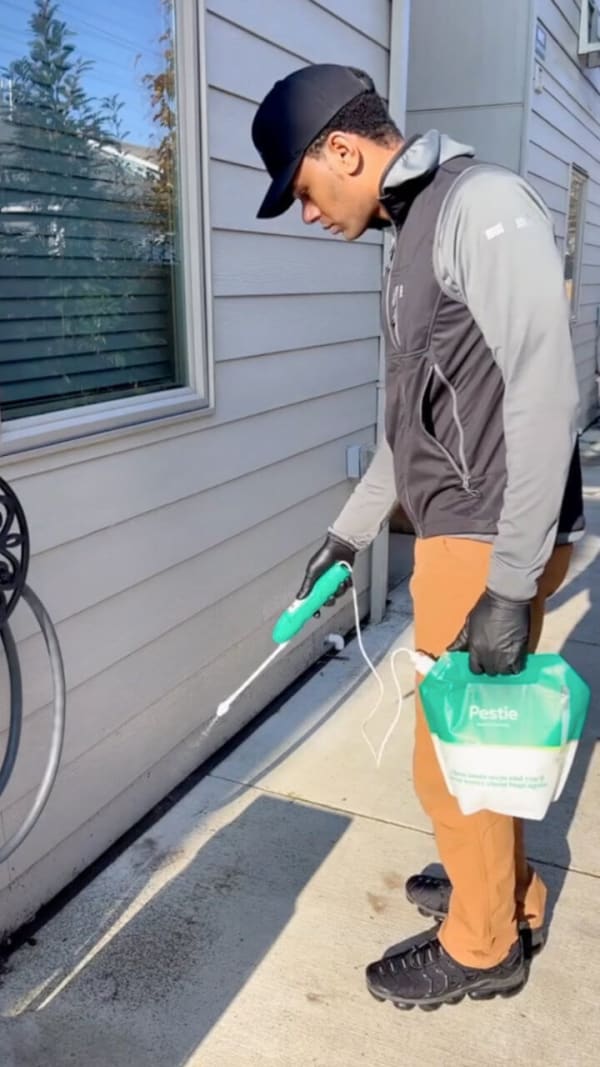 Pestie - The better way to get rid of bugs | DIY Pest Control